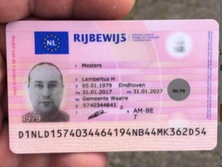 Dutch driving License Without Test For Sale | Continental Docs