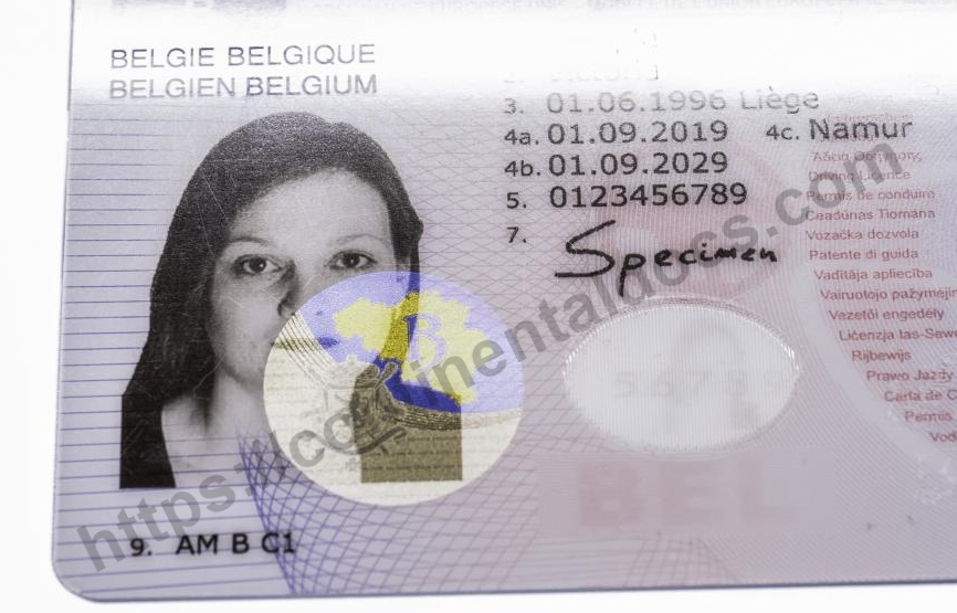 Obtain Belgian Driving License Without Exam | ContinentalDocs