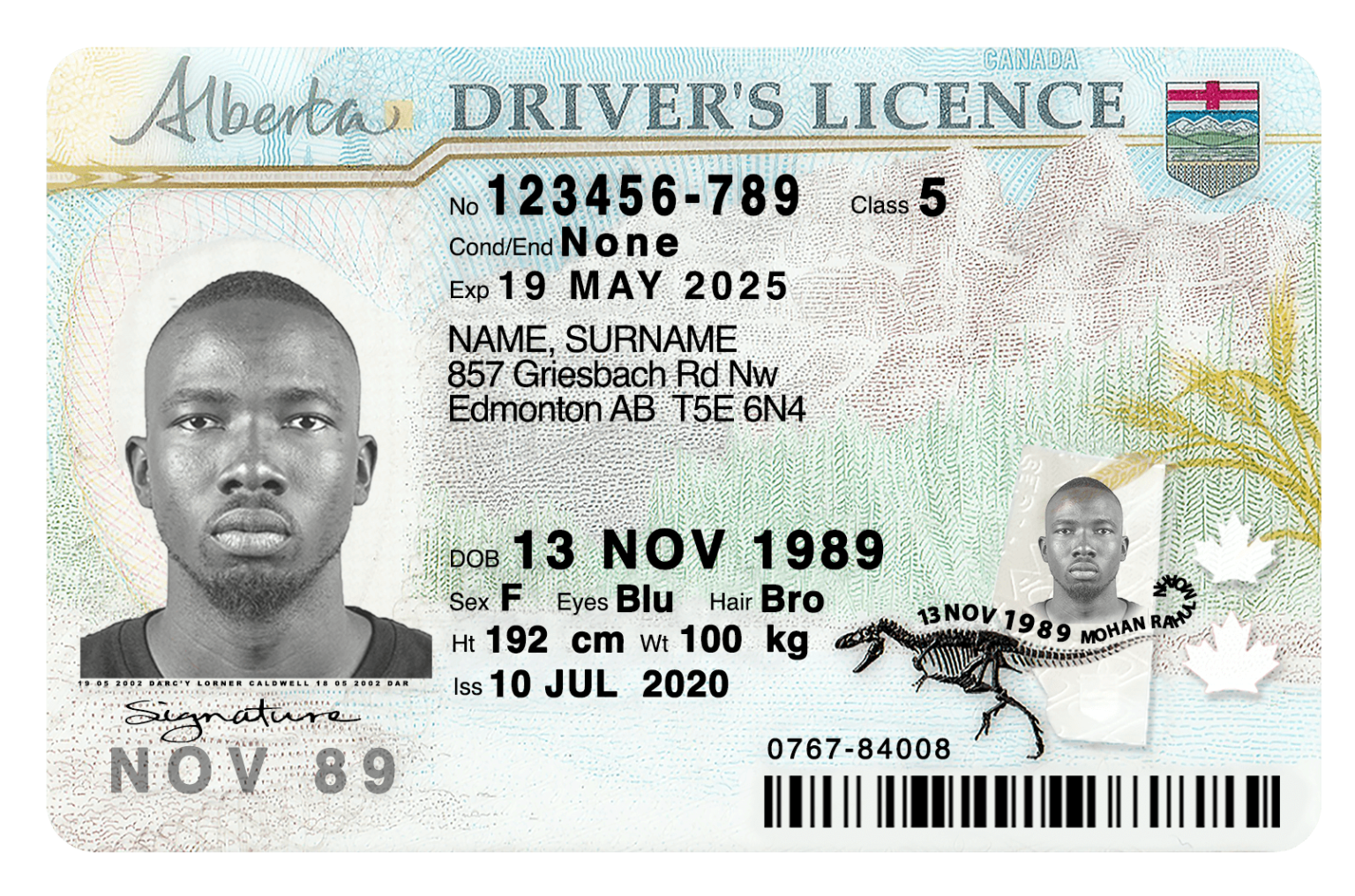 Alberta Driver's License Aquisition Without Test | Continental Docs